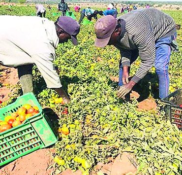 RNA – UNIMOS O PAÍS