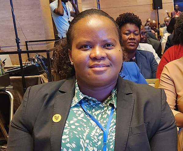 Lei sobre Liberdade de Reunião e Manifestação: UNITA defende sanção de ...