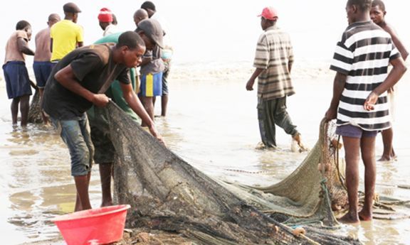 Cacuaco: Pesca de cacusso miúdo preocupa Administração local – RNA
