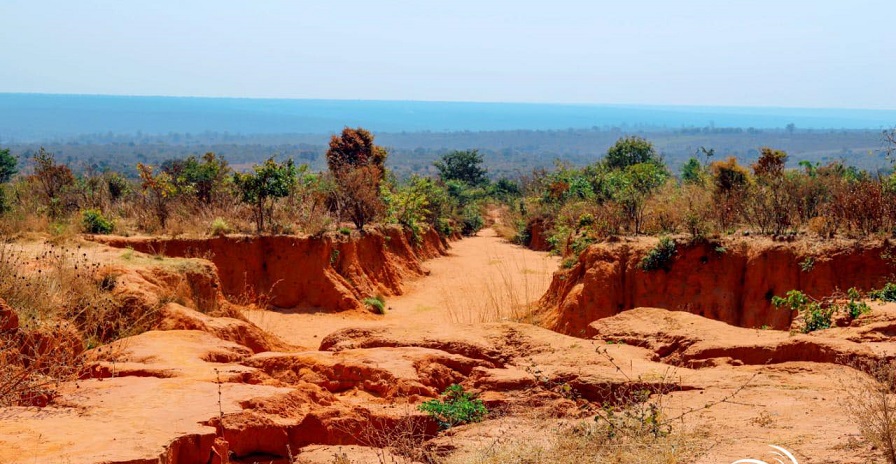 Arranca no Huambo programa emergencial para contenção e estabilização ...